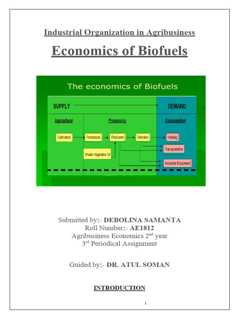 Debolina Samanta Industrial Organization Assignment 3rd Periodical | PDF | Biofuel | Fuels