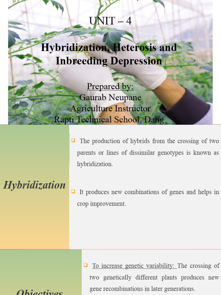 Hybridization, Heterosis and Inbreeding Depression | PDF | Inbreeding | Dominance (Genetics)