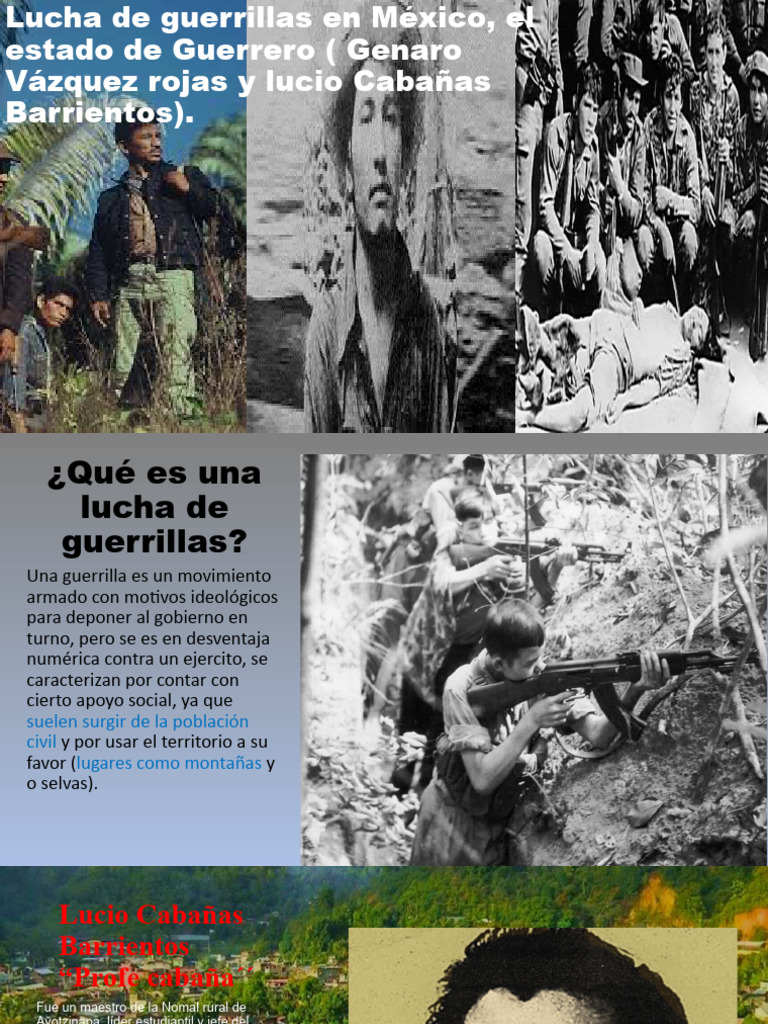 Guerrillas en Guerrero: Cabañas y Vázquez | PDF