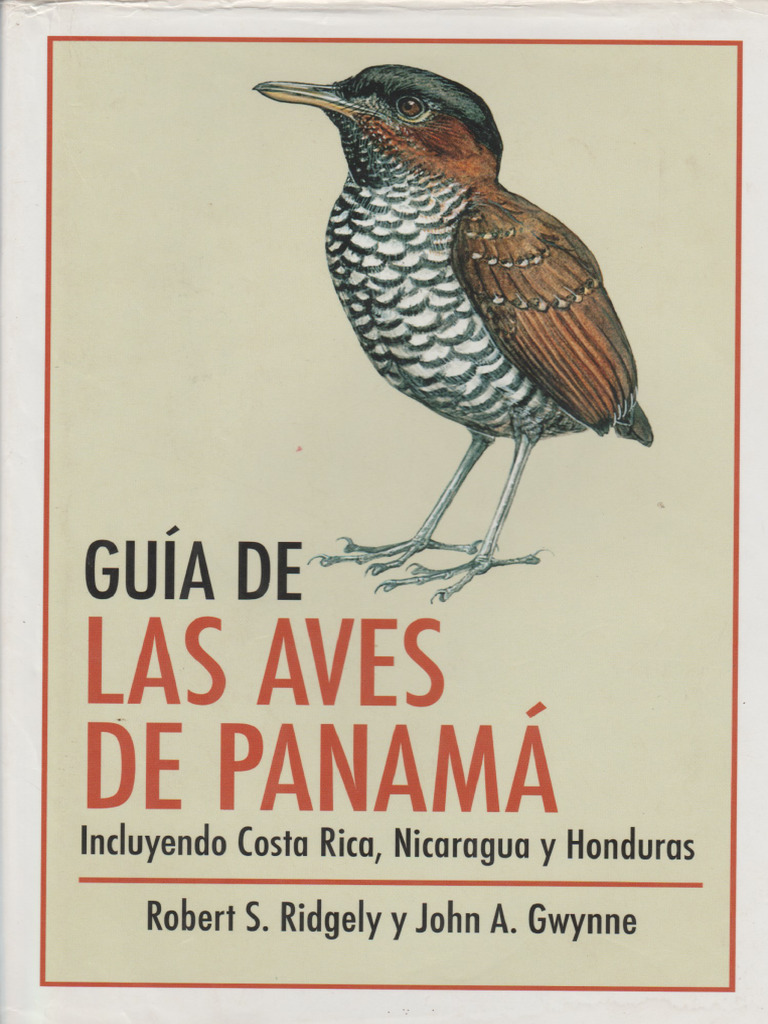 Libro de Aves | PDF