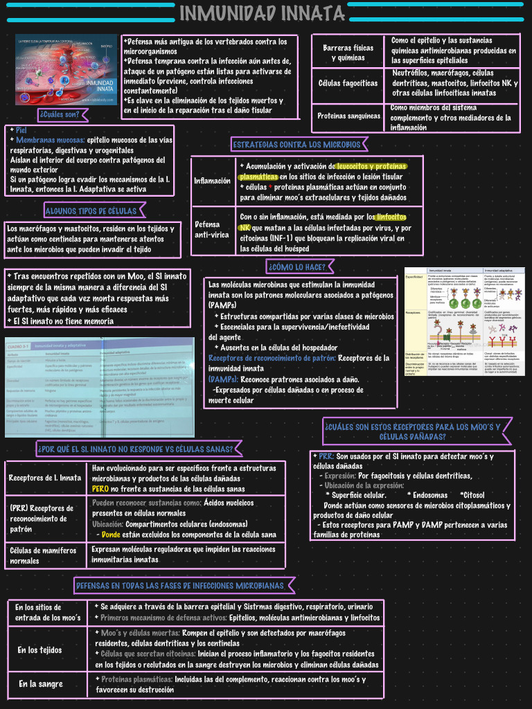 Inmunología- | PDF | Sistema complementario | Sistema inmune innato