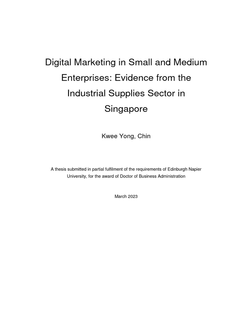 Chin DBA 40411999 Redacted | PDF | Marketing Strategy | Marketing