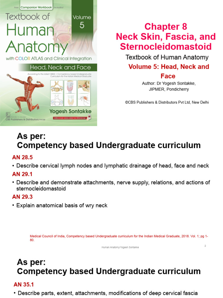 Chapter 8 Neck Skin, Fascia, and Sternocleidomastoid New | PDF | Neck ...