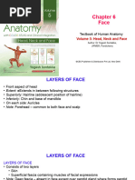 Lateral View of Facial Muscles | PDF | Soft Tissue | Human Anatomy