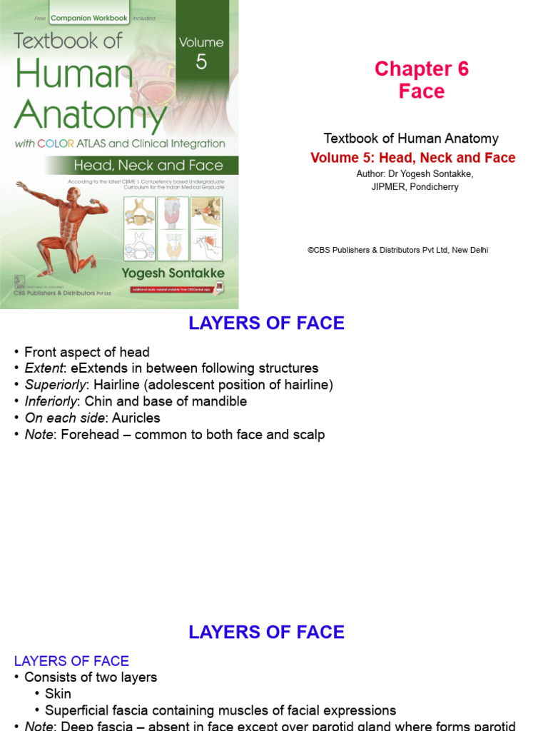 Chapter 6 Face New | PDF | Human Nose | Vein