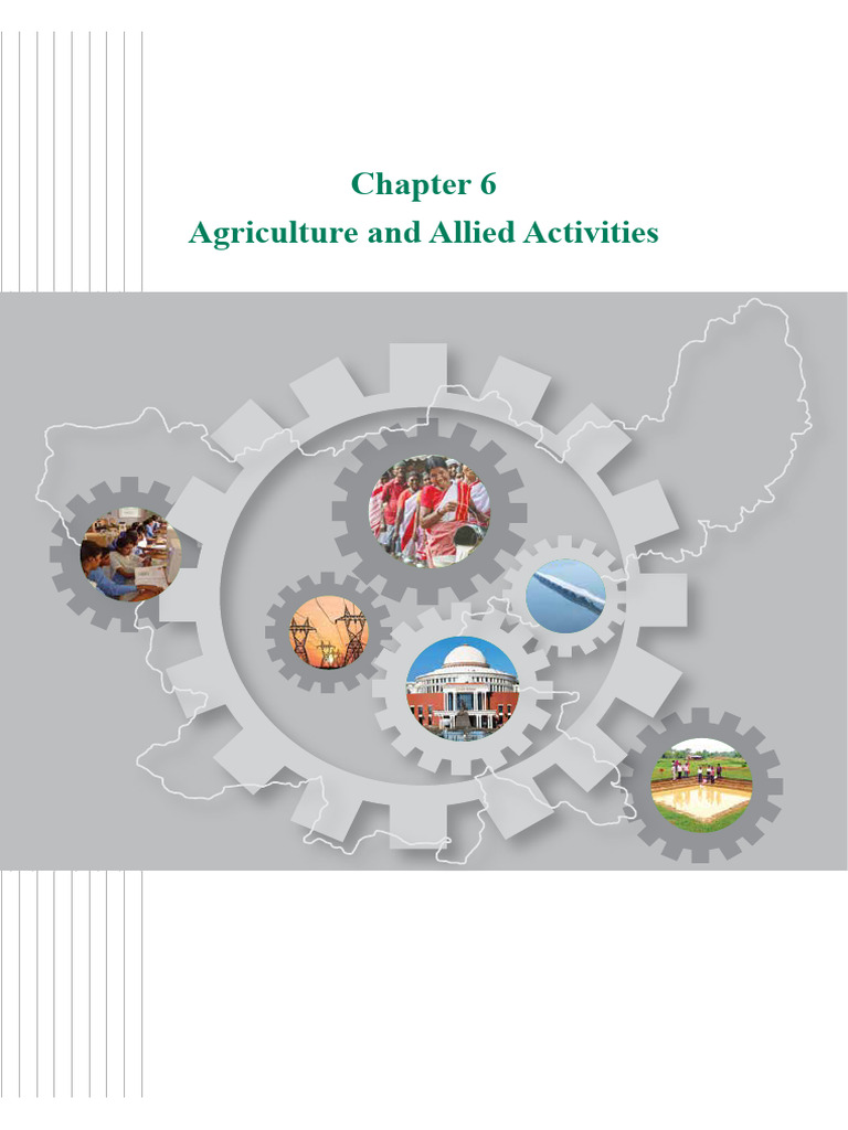 Jharkhand Agriculture Overview 2023-24 | PDF | Agriculture | Earth Sciences
