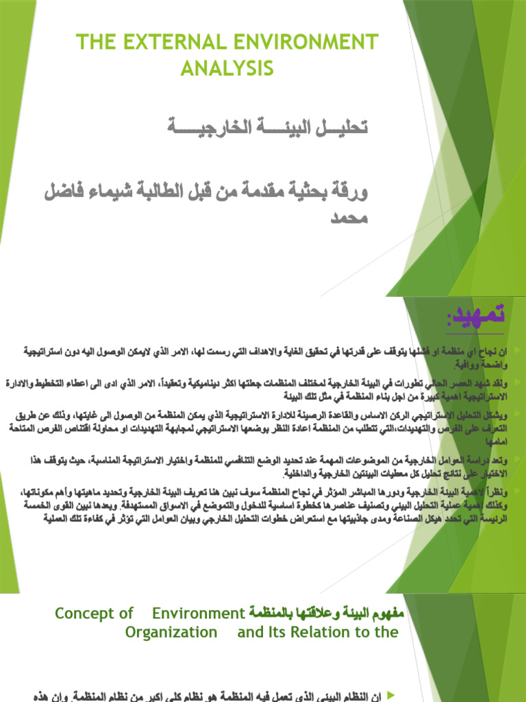 The External Environment Analysis | PDF