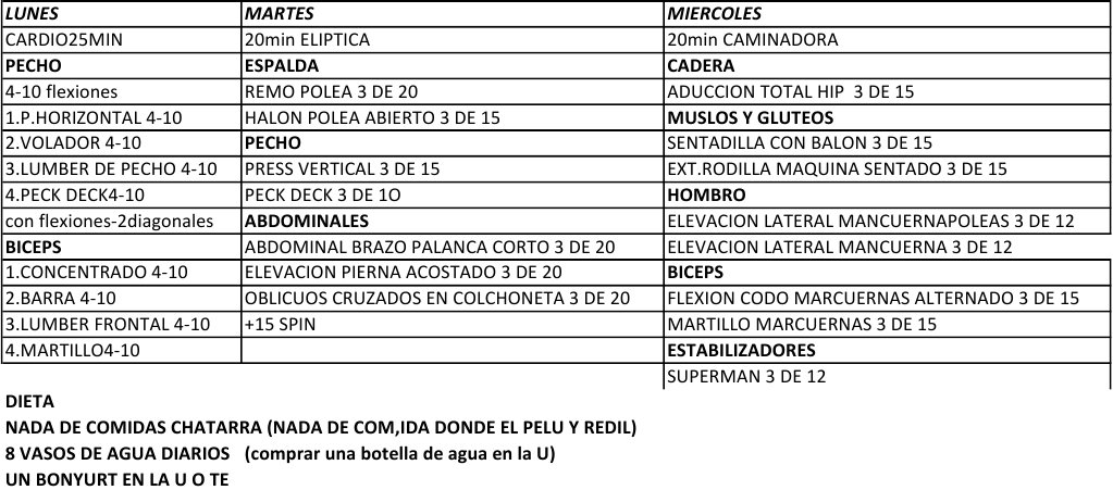 Rutina 2 Semanas | PDF