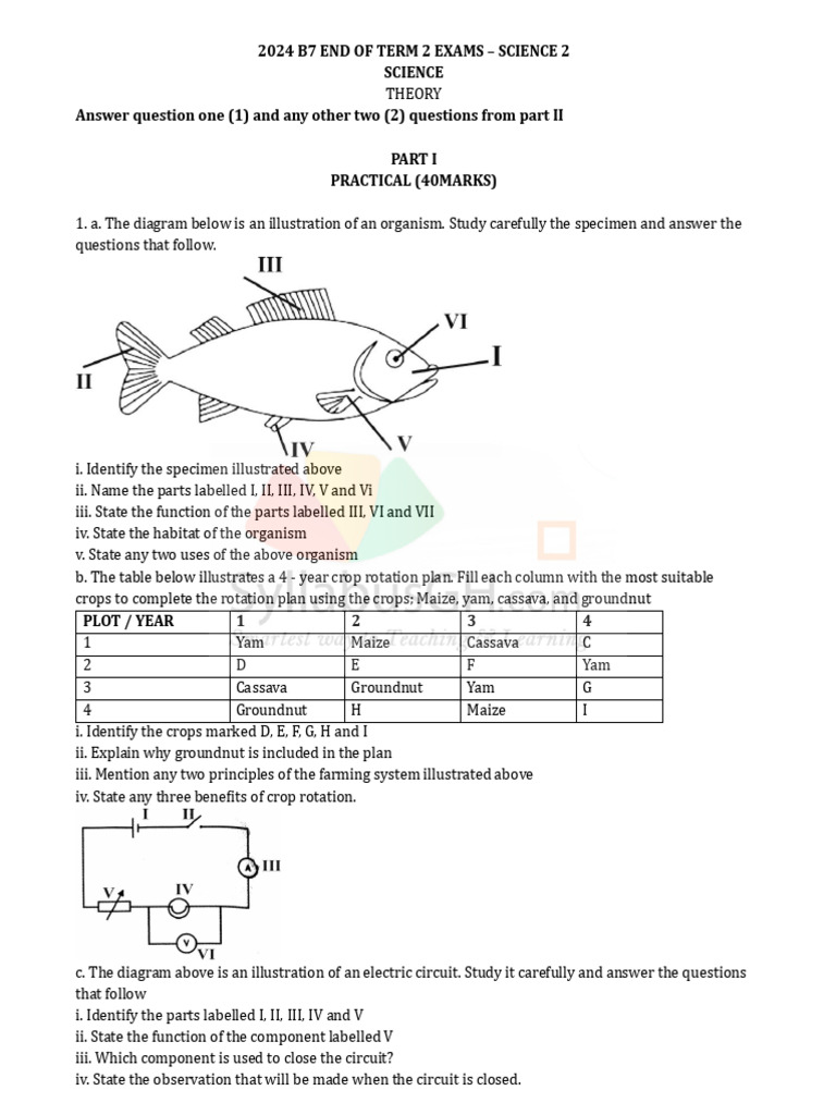 2024 B7 End of Term 2 Exams - Science 2 | PDF | Heat | Foods