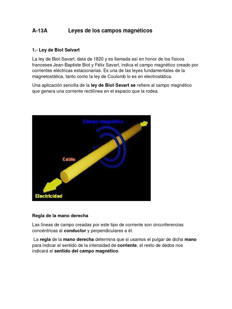 A-14 Leyes de Los Campos Magneticos | PDF | Campo magnético | Magnetismo