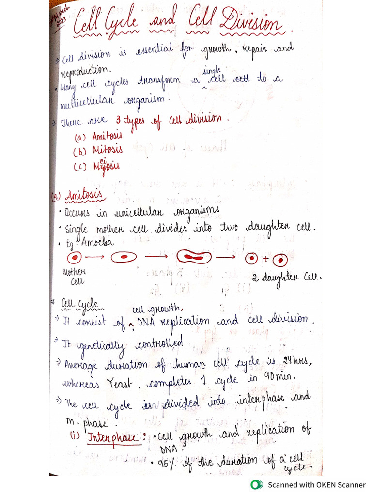 Cell Cycle and Cell Division | PDF