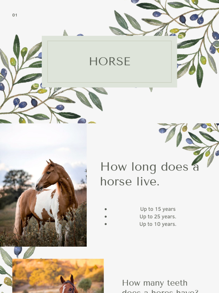 HORSE | PDF
