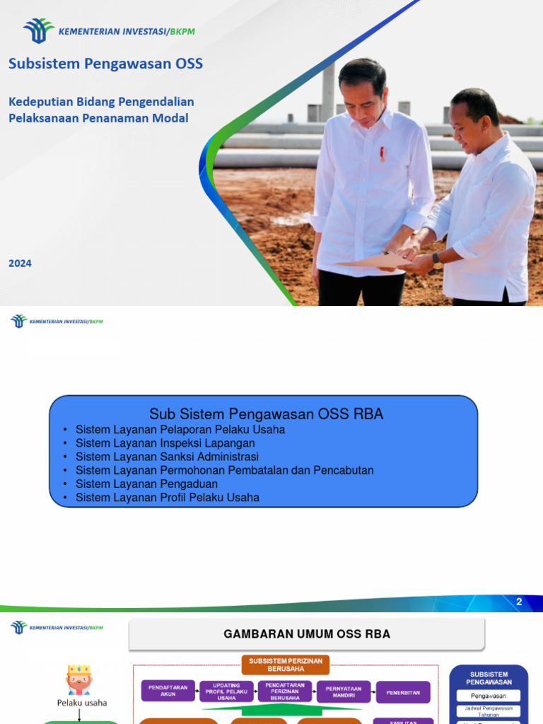 Pengawasan Subsistem OSS RBA 2024 | PDF