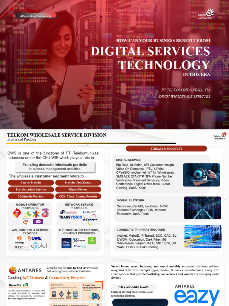 2024 Catalog Digital Services Telkom DWS | PDF | Internet Of Things ...