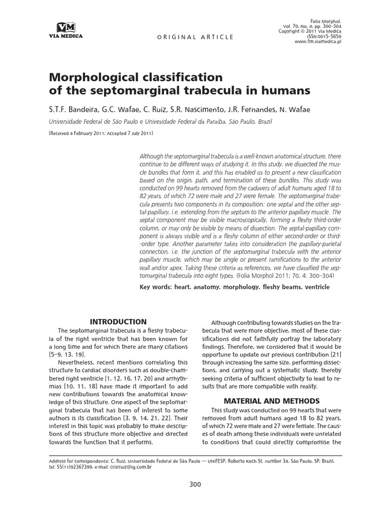 Bandeira Et Al. - 2011 - Morphological Classification of The ...