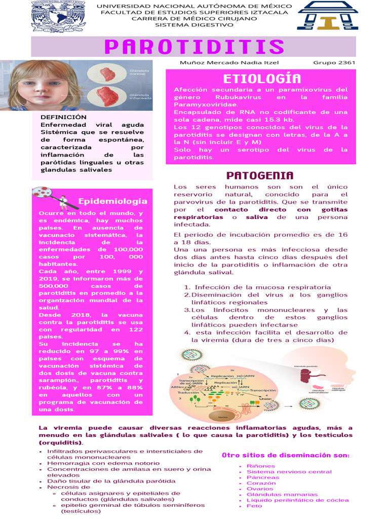 Parotiditis | PDF | Salud pública | Virología