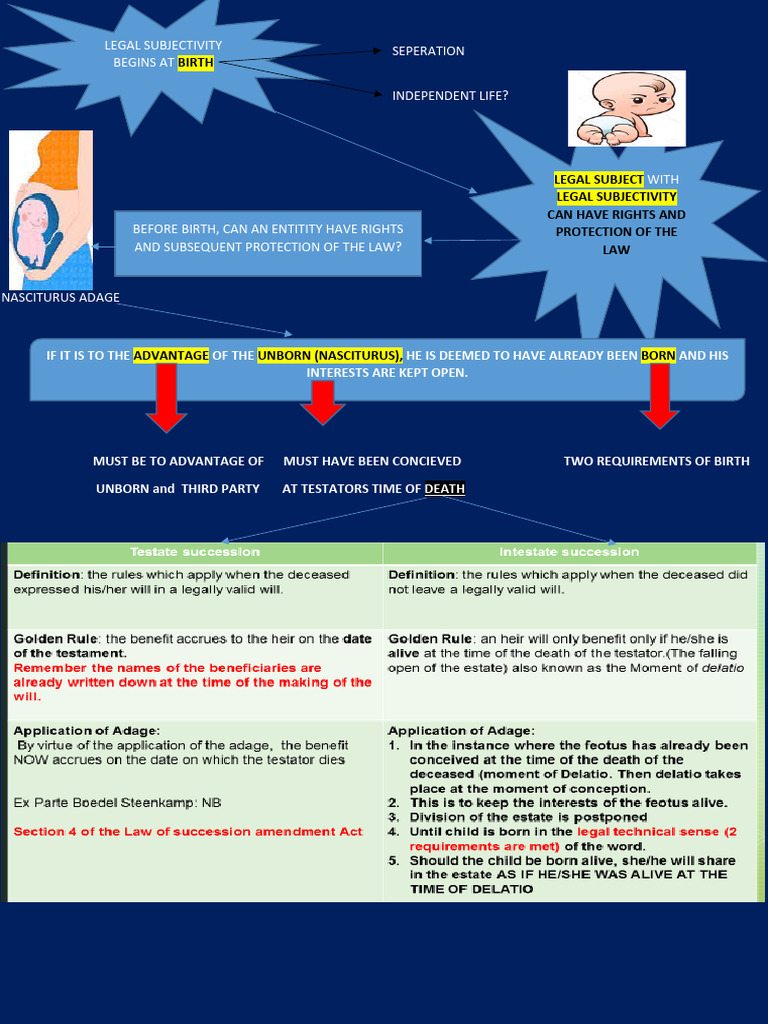 Chapter 2 Mind Map | PDF | Private Law | Common Law