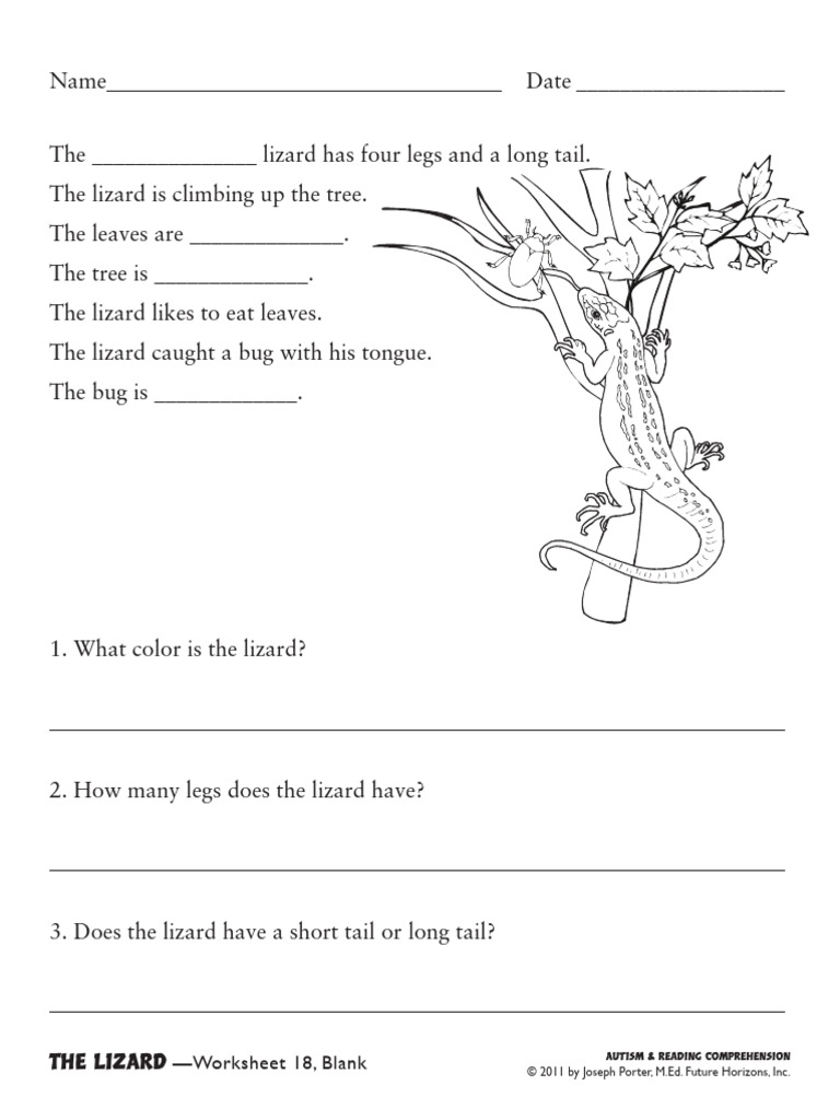 Lizard Worksheet 18 Blank | PDF