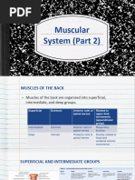 6 - Pelvic Rocking Exercises | PDF | Pelvis | Abdomen