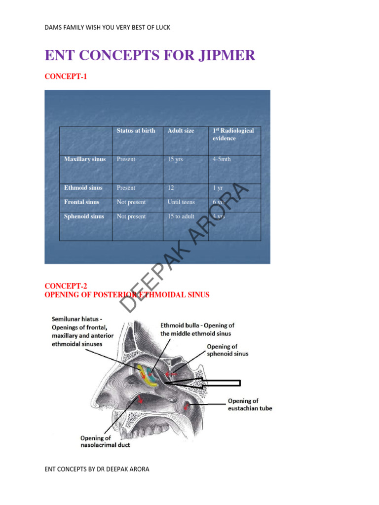 ENT Concepts by Dr. Deepak Arora | PDF | Otorhinolaryngology | Medical ...