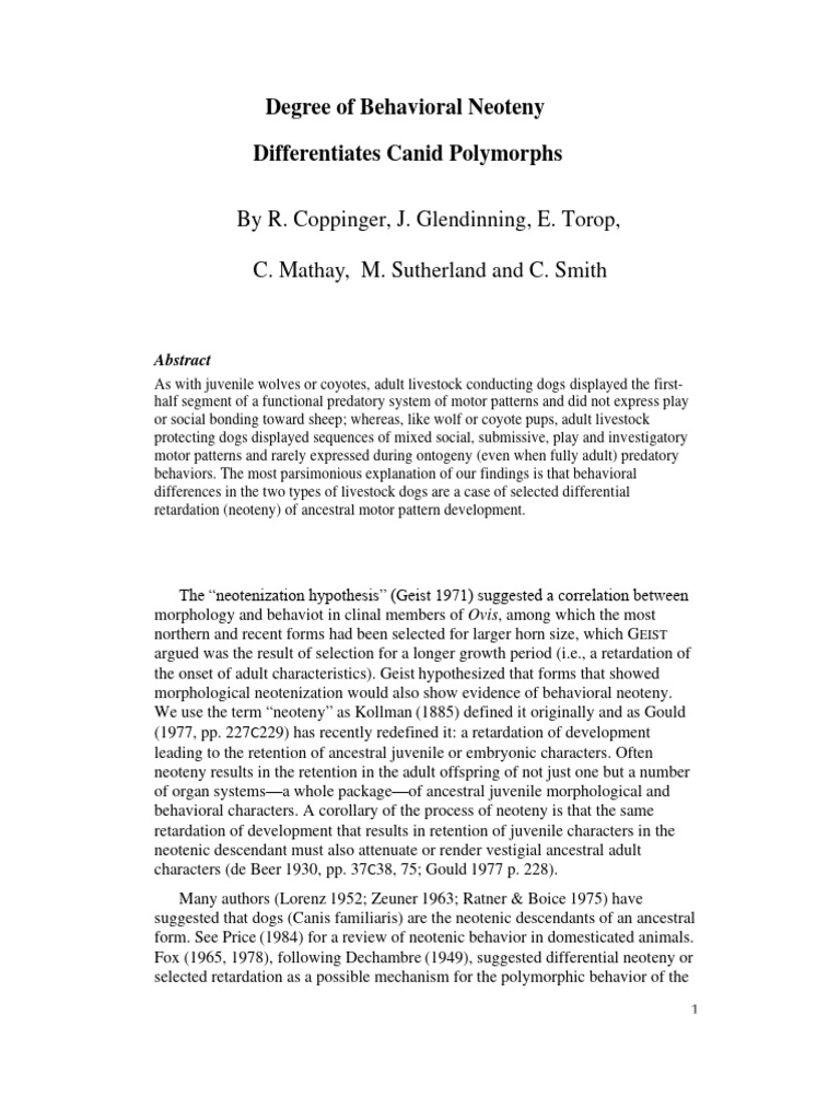 Degree of Behavioral Neoteny Differentiates Canids Polymorphs ...