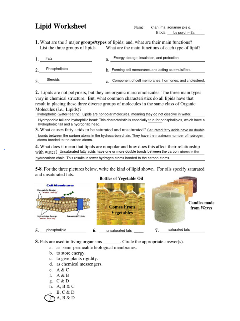 Lipid Worksheet (1) | PDF | Lipid | Fatty Acid
