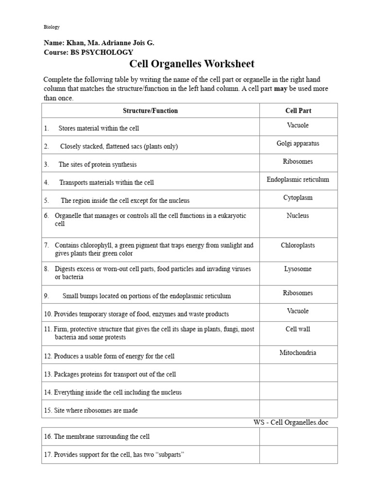 Cell Organelles Worksheet Guide | PDF | Cell (Biology) | Lysosome
