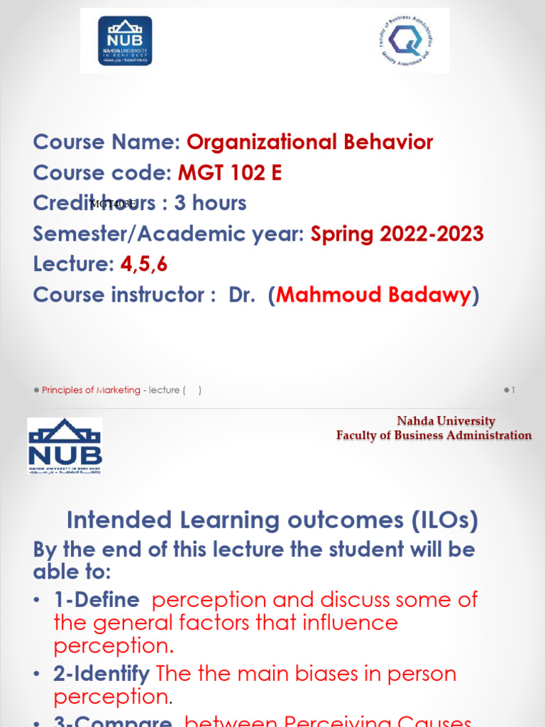 Lec 4,5,6 | PDF | Perception | Diversity (Business)