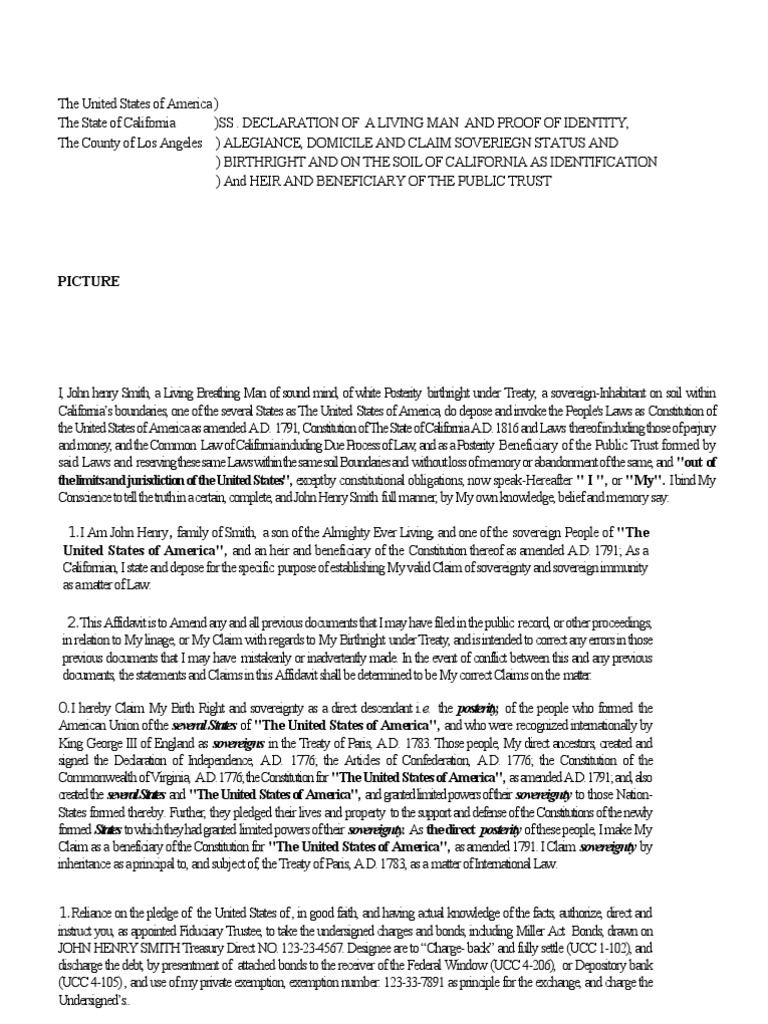 Sovereign Identity Declaration Affidavit | PDF | Sovereignty | Notary ...