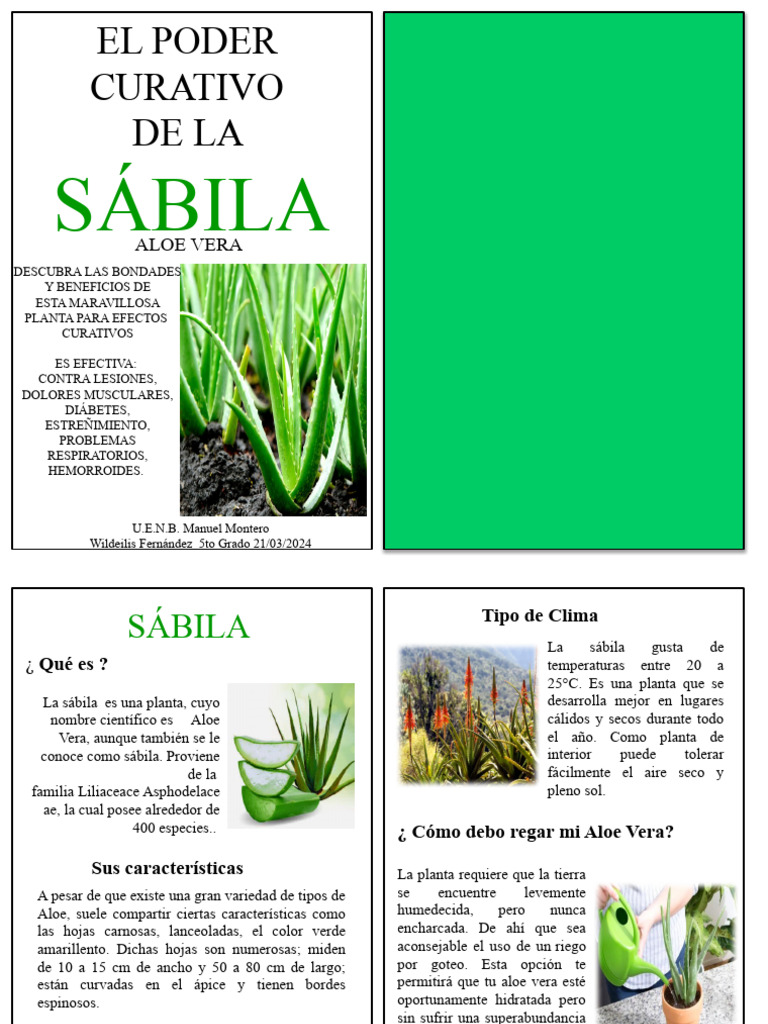 Libro de La Sabila | PDF