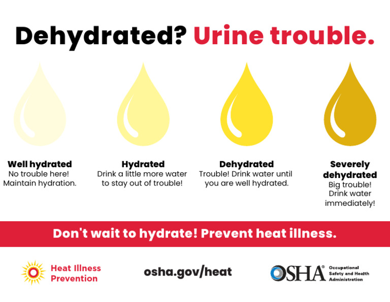 Heat Urine Chart 8x11 | PDF