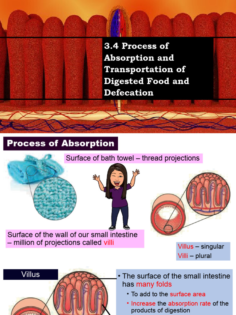 3.4 Process of Absorption and Transportation of Digested Food and ...