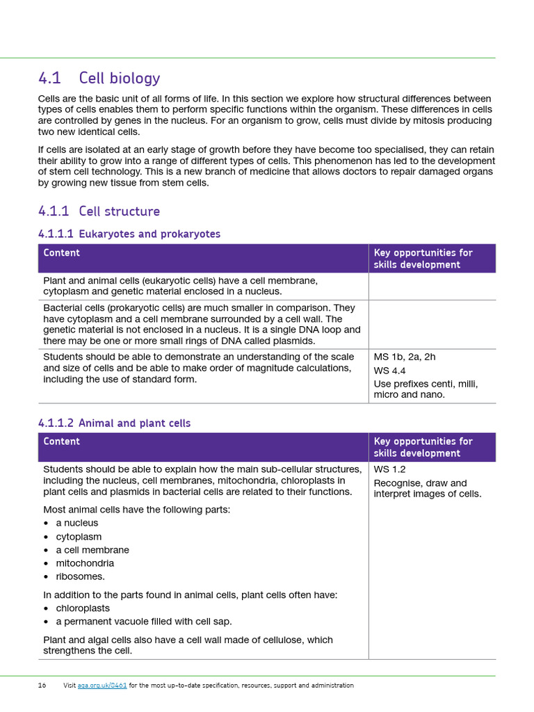 GCSE Biology | PDF | Cell (Biology) | Infection