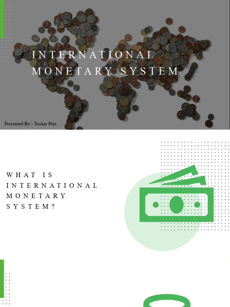 Understanding the International Monetary System | PDF
