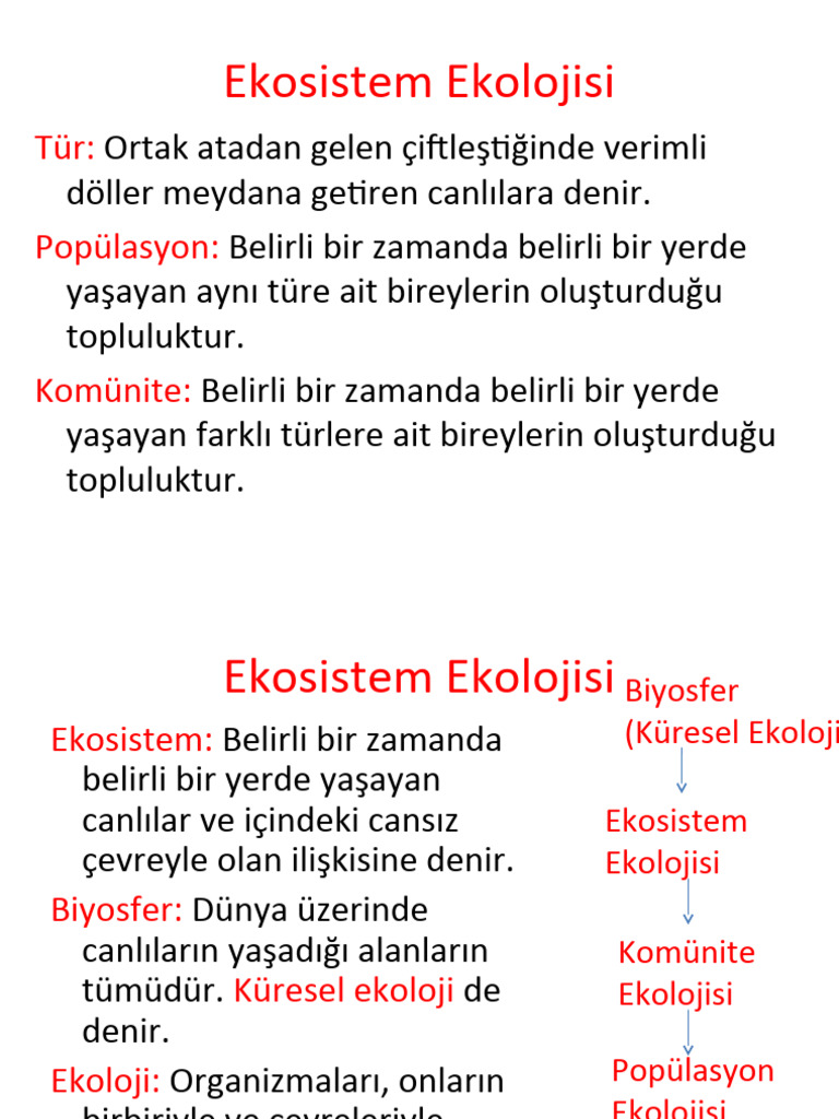 Sinif Ekosystem | PDF