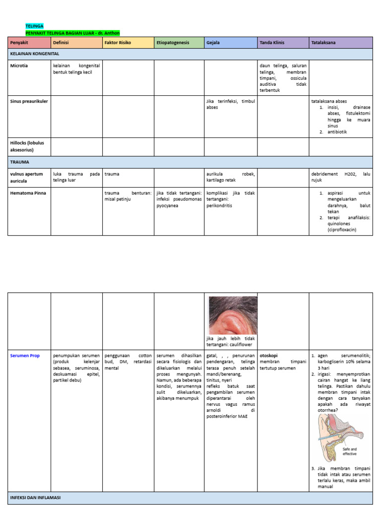 5.5 Special Senses Diseases | PDF