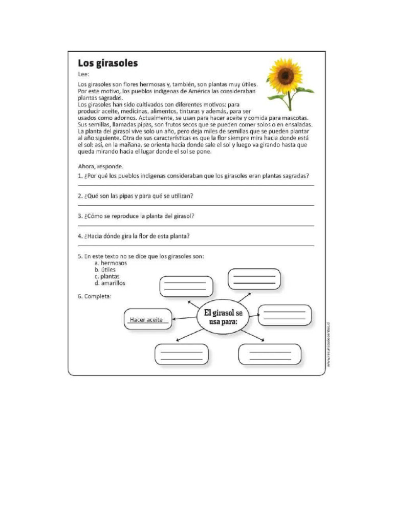Lectura Los Girasoles | PDF