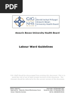 Maternity Triage Clinical Guidelines | PDF | Childbirth | Obstetrics