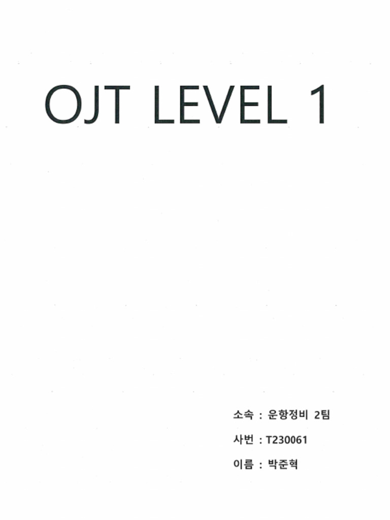 Ojt Level1 | PDF