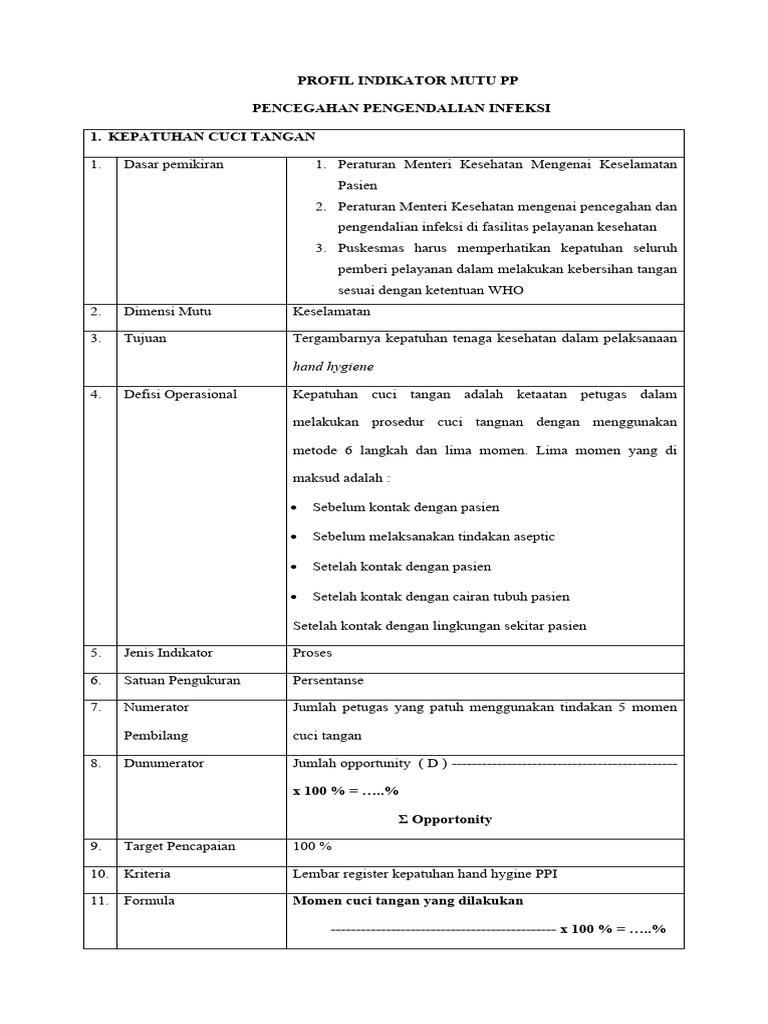 Indikator Dan Capaian Ppi | PDF | Pengembangan Diri | Kesehatan Holistik