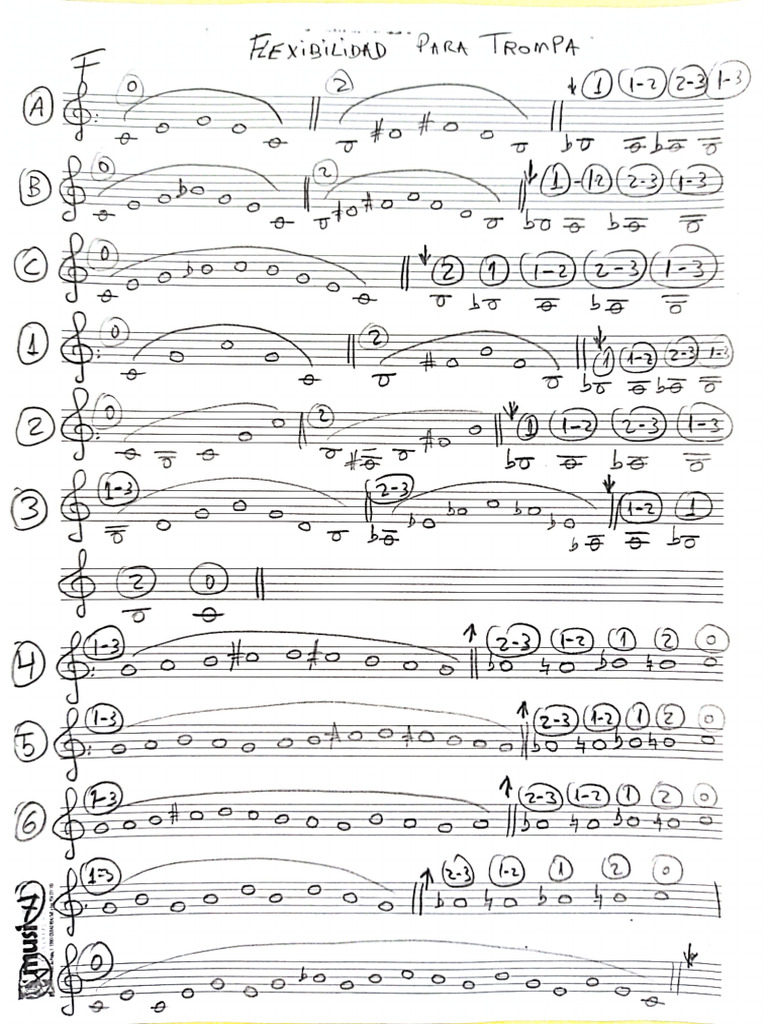 Flexibilidad Trompa | PDF