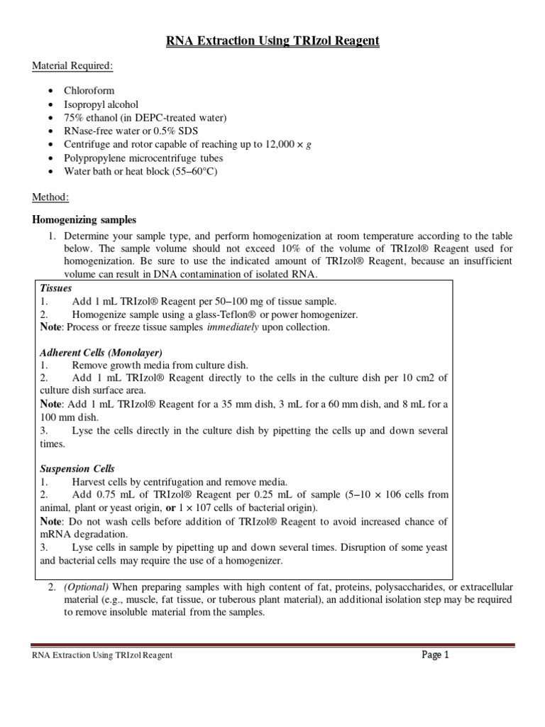 RNA Extraction Using TRIzol Reagent | PDF | Biology | Life Sciences