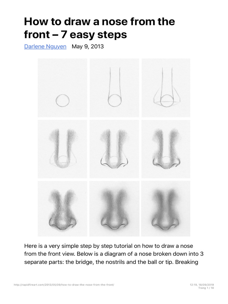 How to Draw a Nose_ 7 Simple Steps | RapidFireArt | PDF | Human Nose