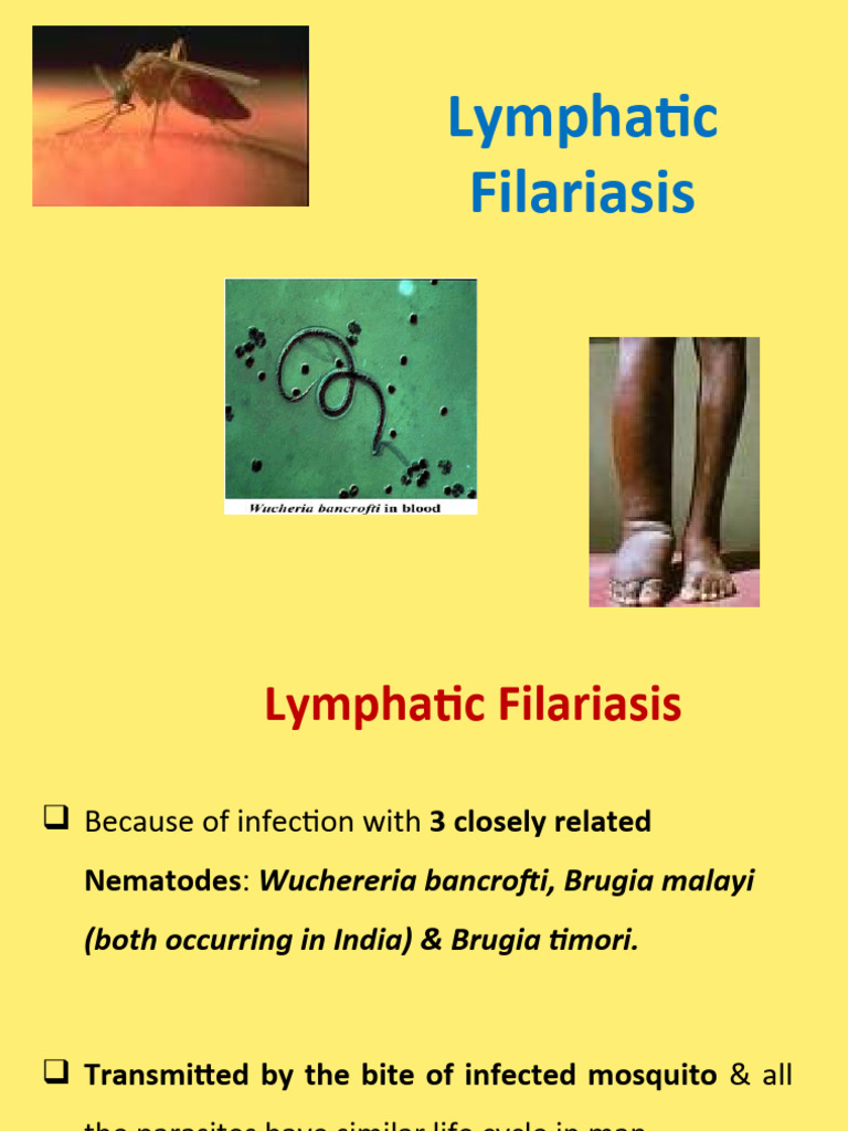 Lymphatic Filariasis Class | PDF | Health Sciences | Animals And Humans