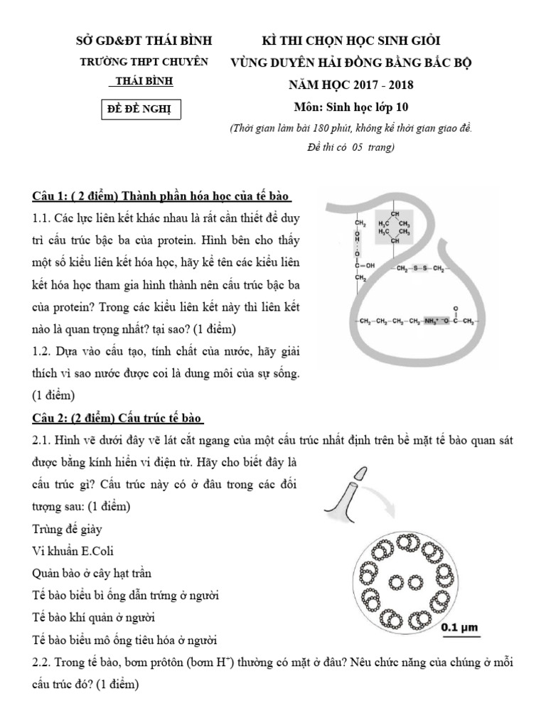 (Lib24.vn) De-Thi-Chon-Hsg-Sinh-Hoc-Duyen-Hai-Dong-Bang-Bac-Bo-Sinh-10-Nam-Hoc-2017-2018-Chuyen ...
