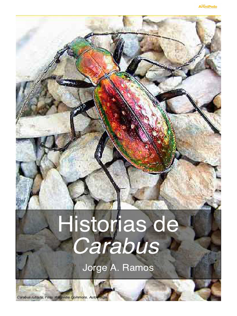 Historia de los Carabus en España | PDF | Península Ibérica | Especies