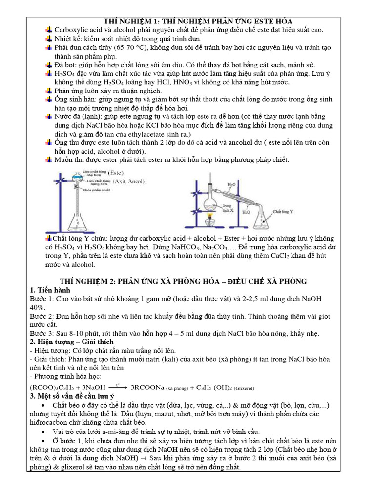 De-2 Ktra Tn-Este | PDF