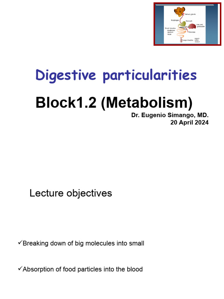 Digestive - Particularities - 2024 DR Eugenio Simango | PDF | Digestion ...