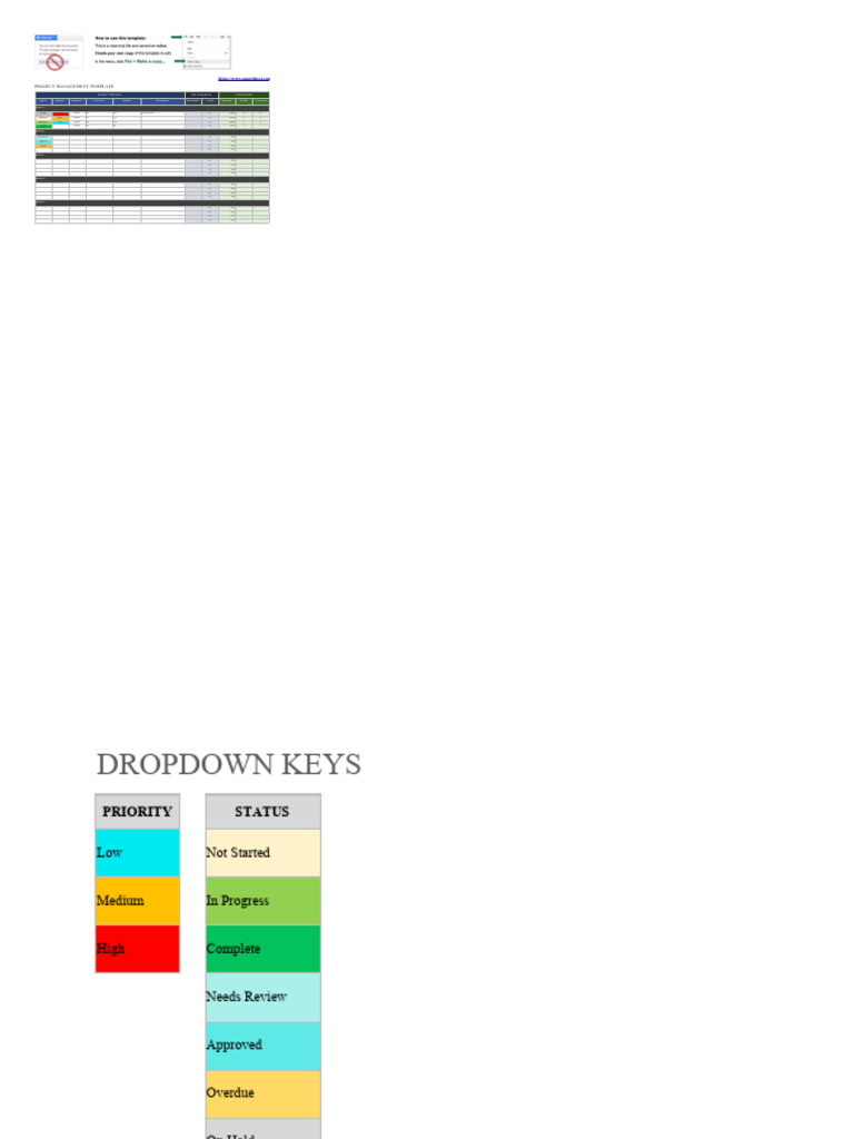 BF Project Management Template - Google - Sheets | PDF