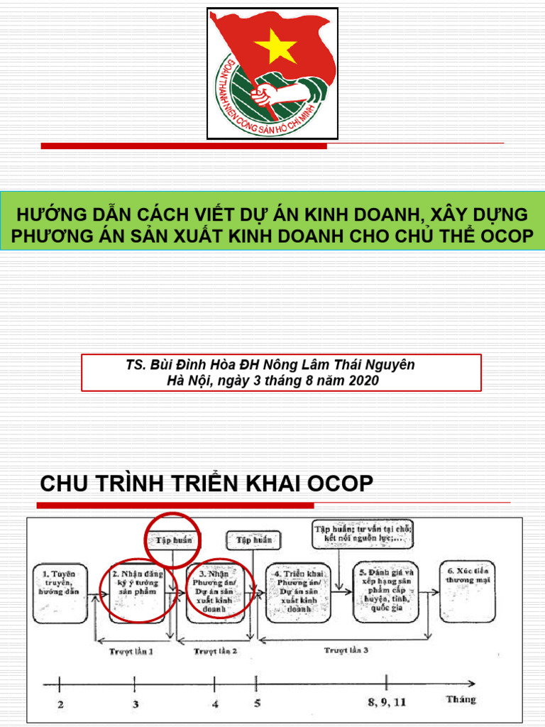 Huong Dan Cach Viet Du An Ocop Ts Bui Dinh Hoa | PDF